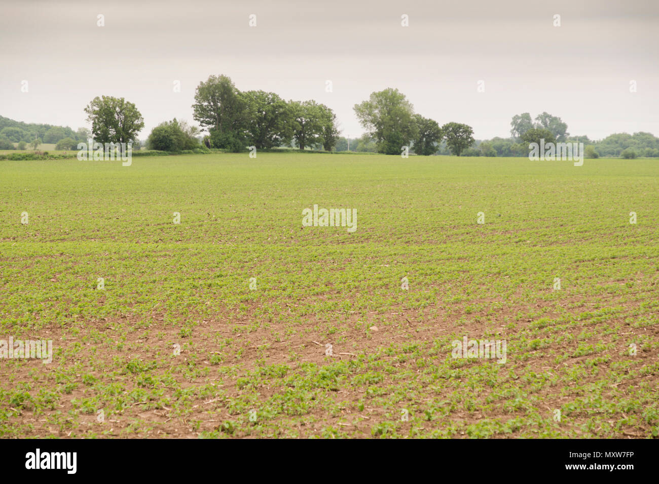 Mchenry illinois hi-res stock photography and images - Alamy