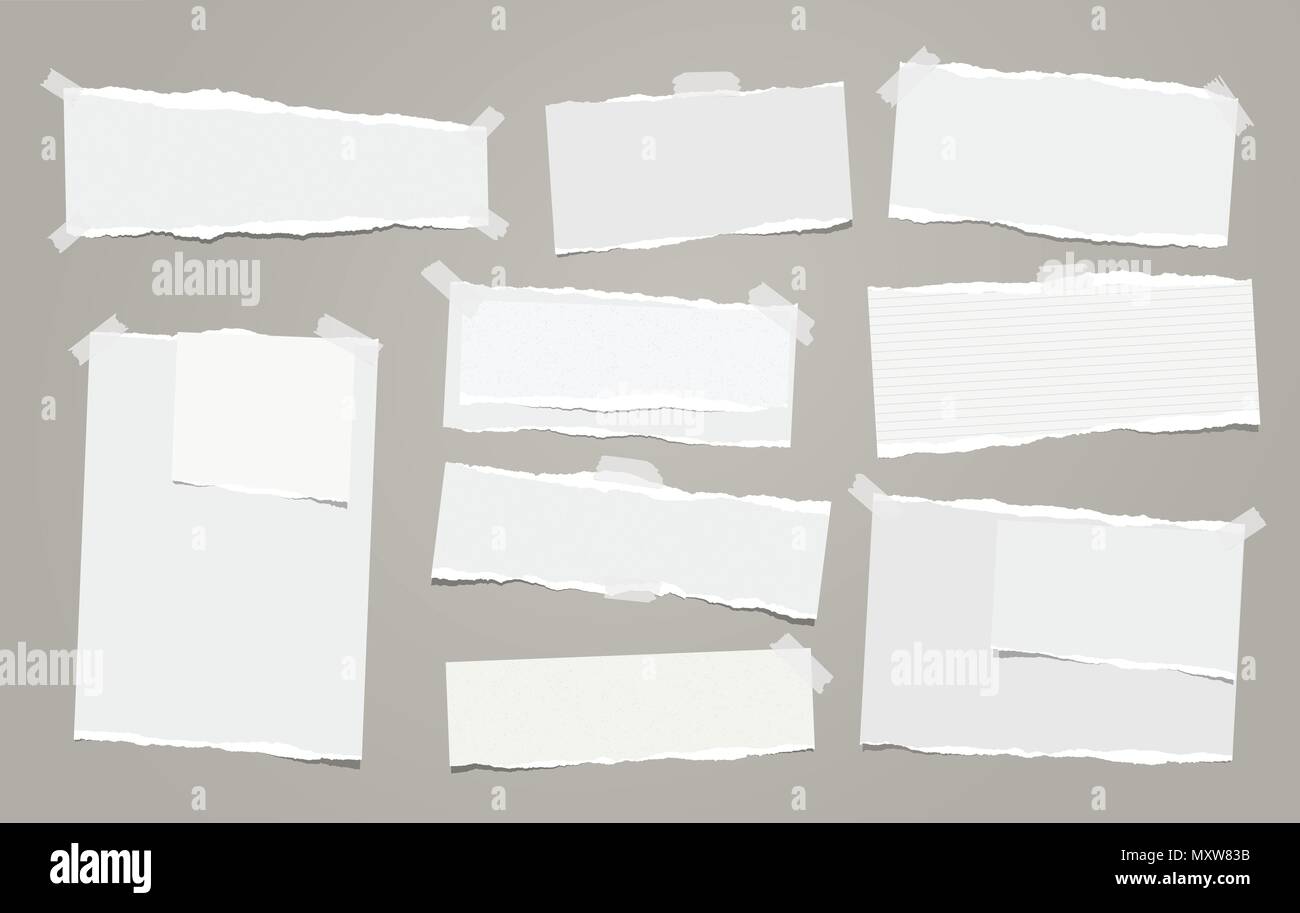 White note, notebook paper pieces with torn edge stuck on gray ...