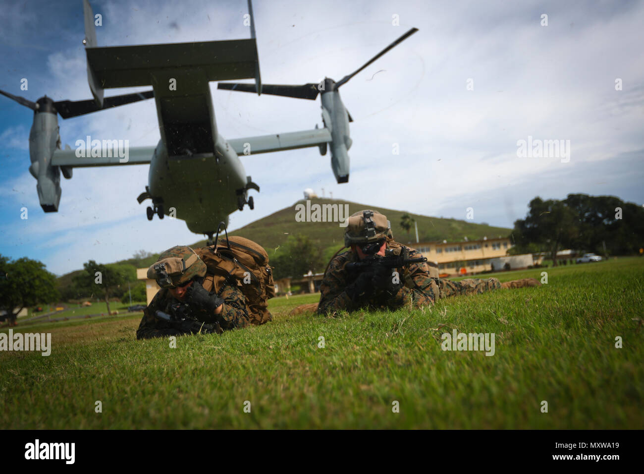 Marines with Alpha Company, 1st Battalion, 3rd Marine Regiment, provide ...