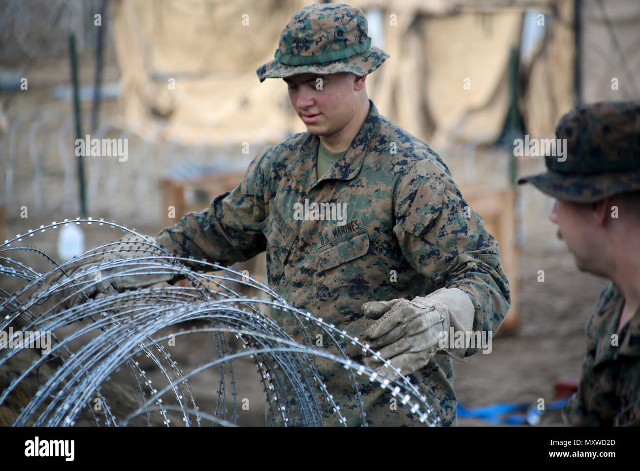 Concertina like hi-res stock photography and images - Alamy