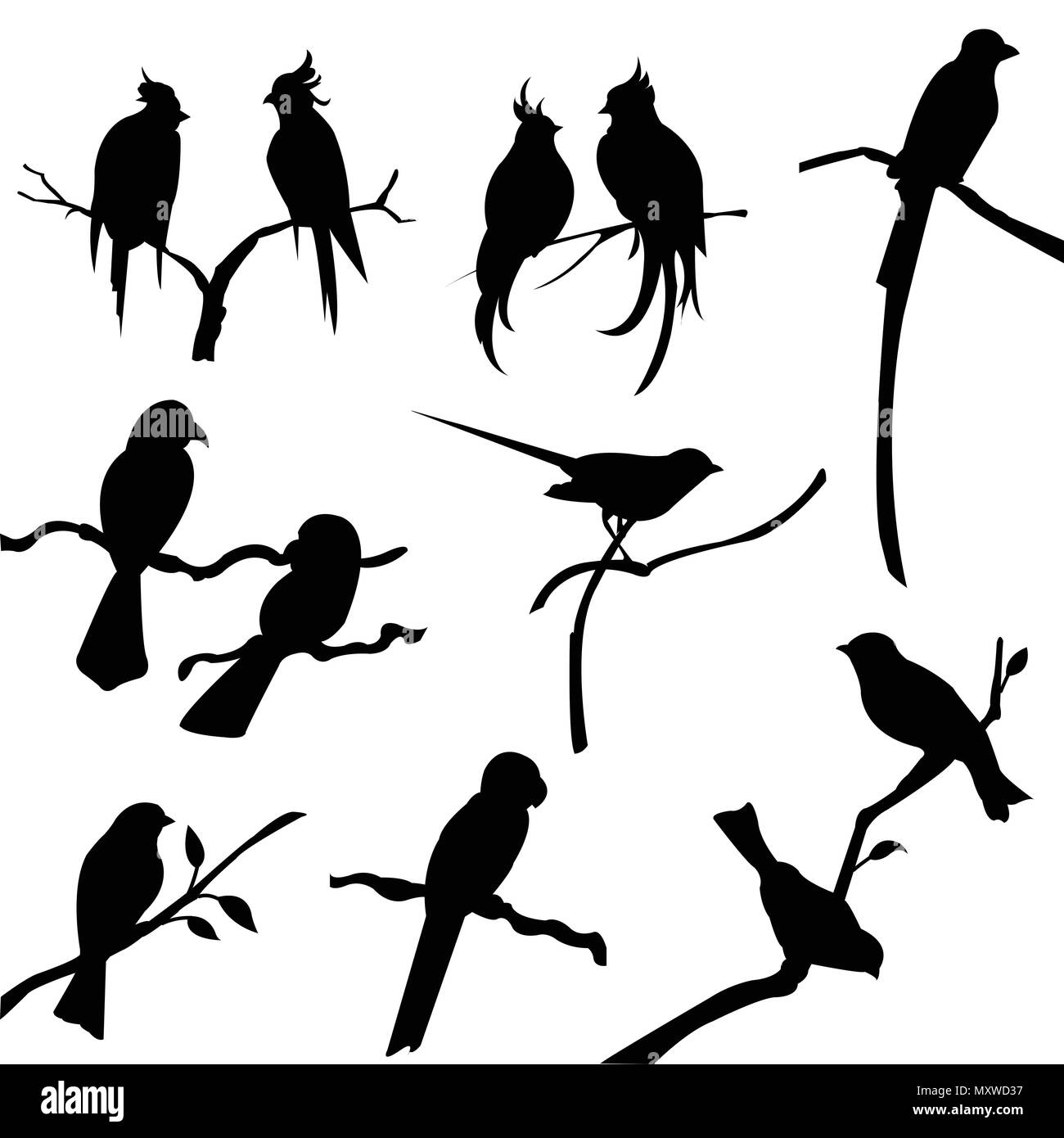 Art animal bird banner Black and White Stock Photos & Images - Alamy