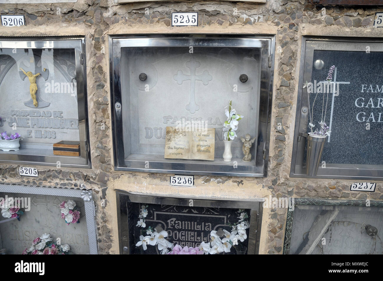 dead senior man, burial, dead cemetery, cadaver, health, funeral ...