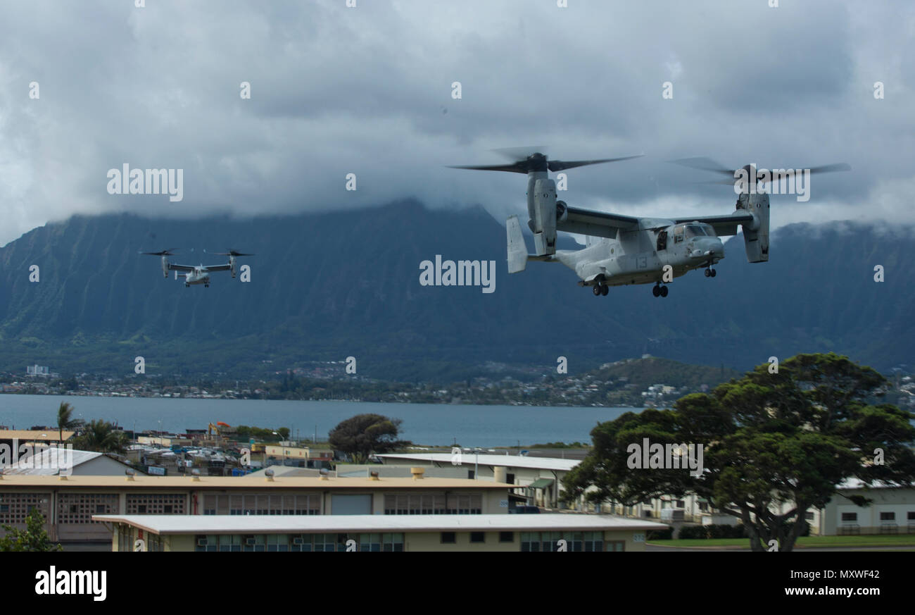 Hussein Farrah Aidid Marine