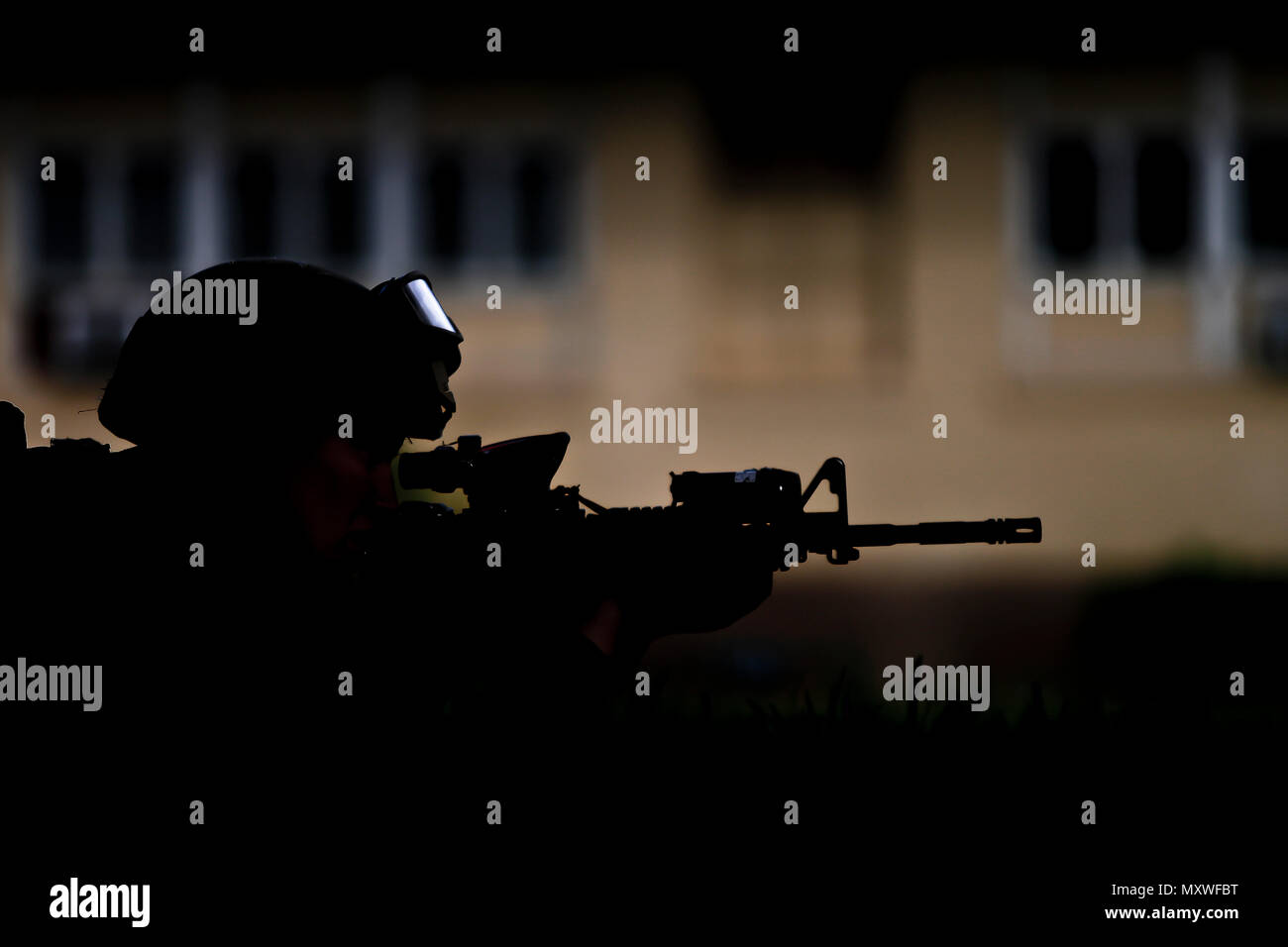 A Marine with Alpha Company, 1st Battalion, 3rd Marine Regiment ...