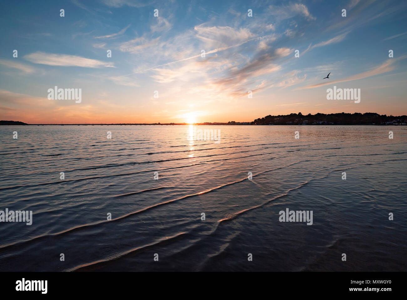 Poole Harbour at sundown Stock Photo - Alamy