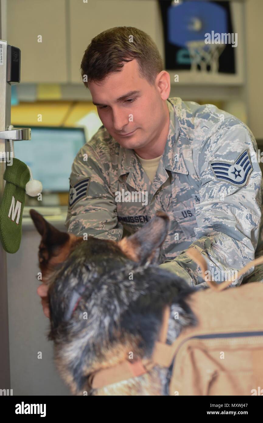 Alcohol and drug abuse prevention and treatment program hi-res stock ...