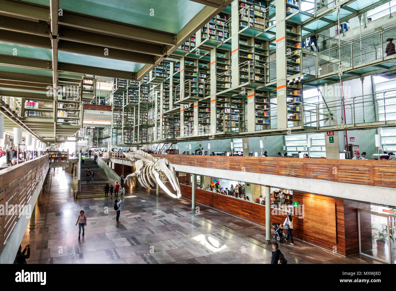 Biblioteca De Mexico High Resolution Stock Photography and Images - Alamy