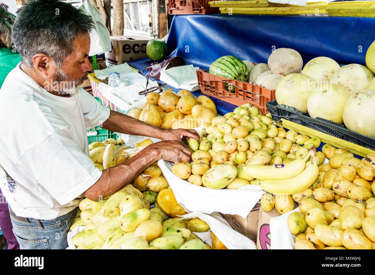 Mexico City,Hispanic Latin Latino ethnic,Mexican,Polanco,Lincoln Park ...