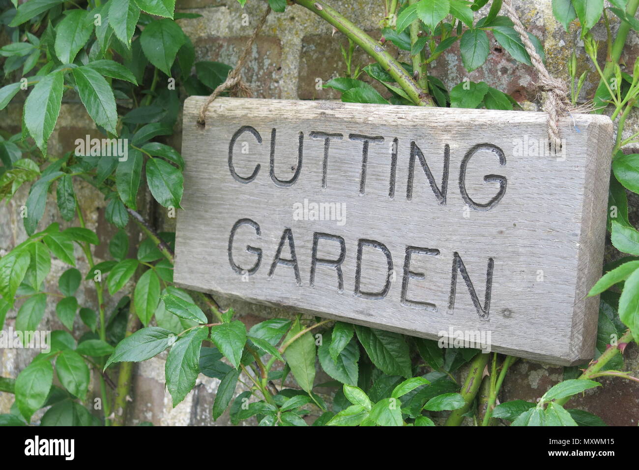 A rustic wooden signboard, hanging on a rope, saying CUTTING GARDEN ...