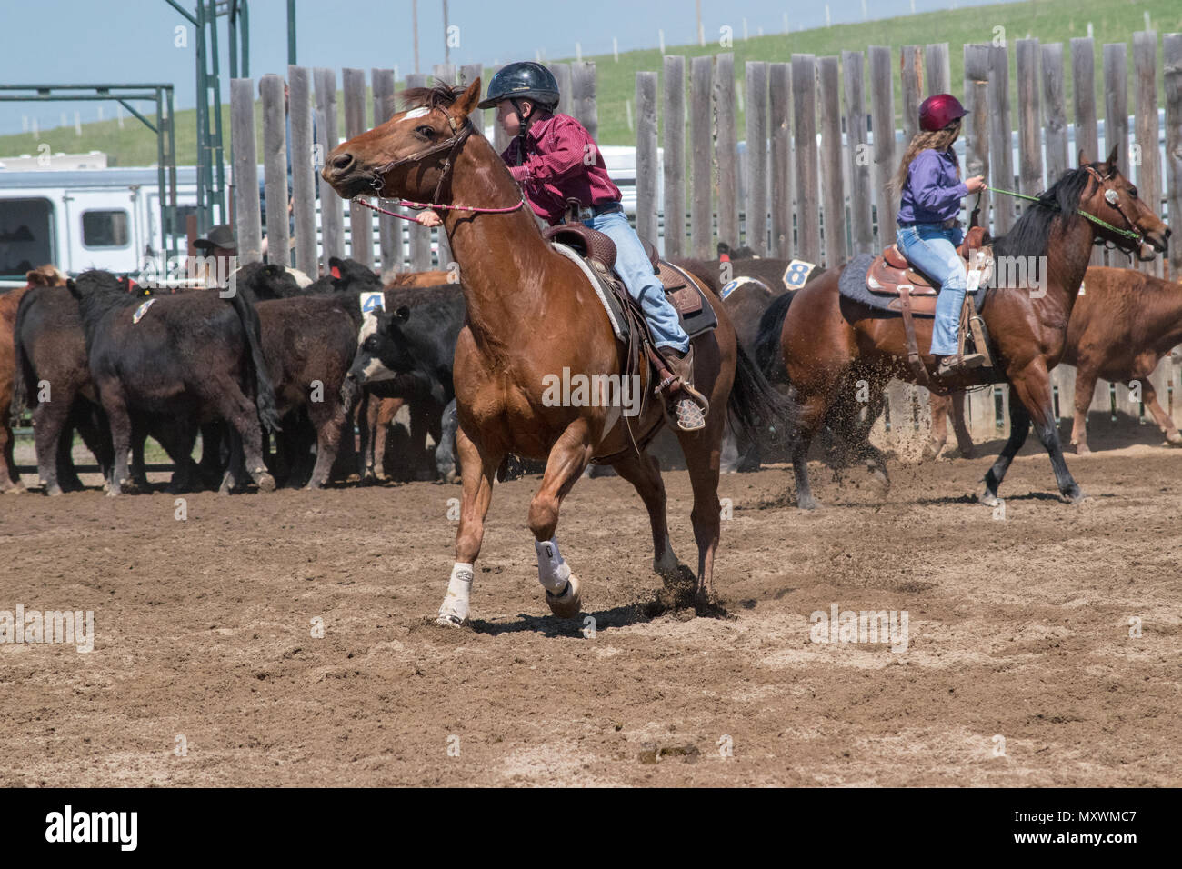 Robson arena hi-res stock photography and images - Alamy