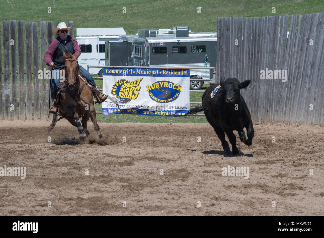 Cowgirls in a Youth team penning competition. Central Alberta Team ...
