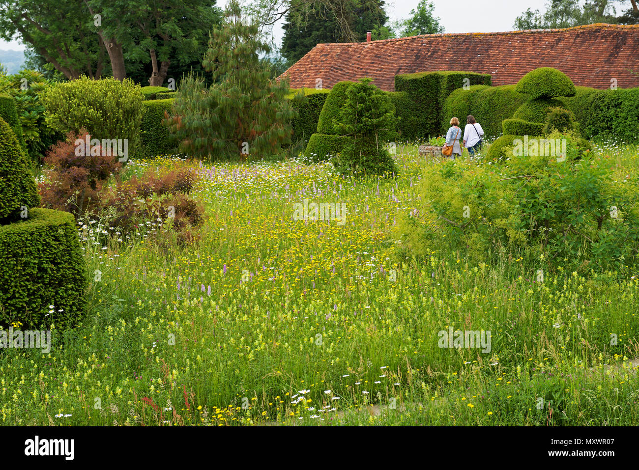 Great dixter wild flowers hi-res stock photography and images - Alamy