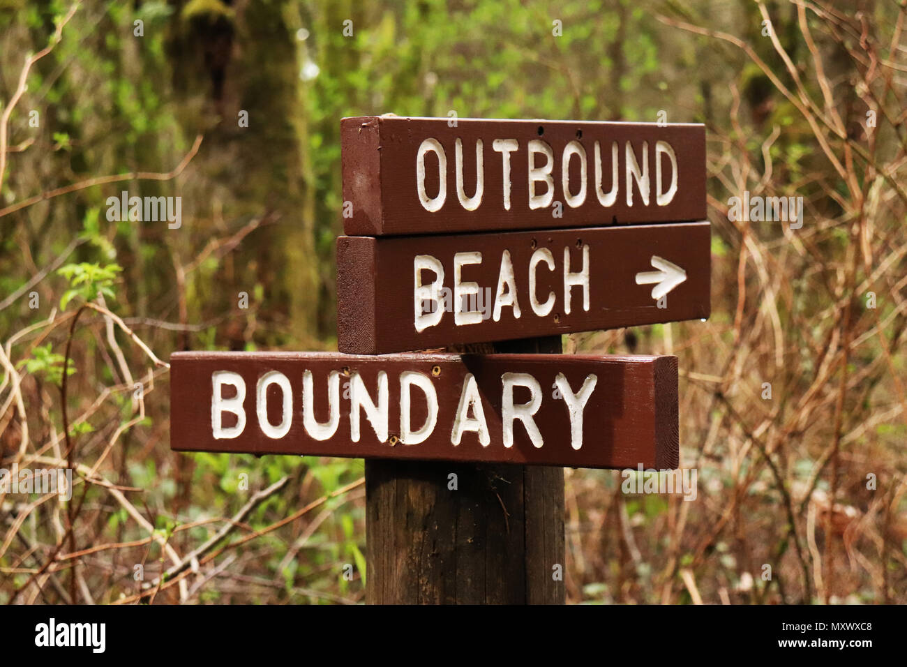 Hiking Trails Dash Point State Park, Washington Stock Photo - Alamy