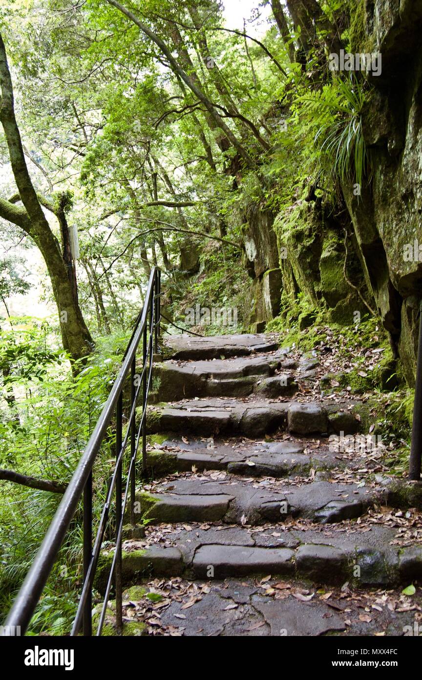 Akame 48 Waterfalls: Mysterious hiking trail with rock steps through ...