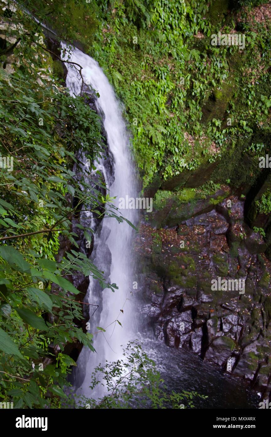 Akame 48 Waterfalls: Mysterious hiking trails, giant trees & moss ...