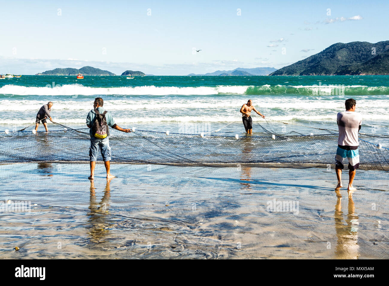 Mullet season hi-res stock photography and images - Alamy