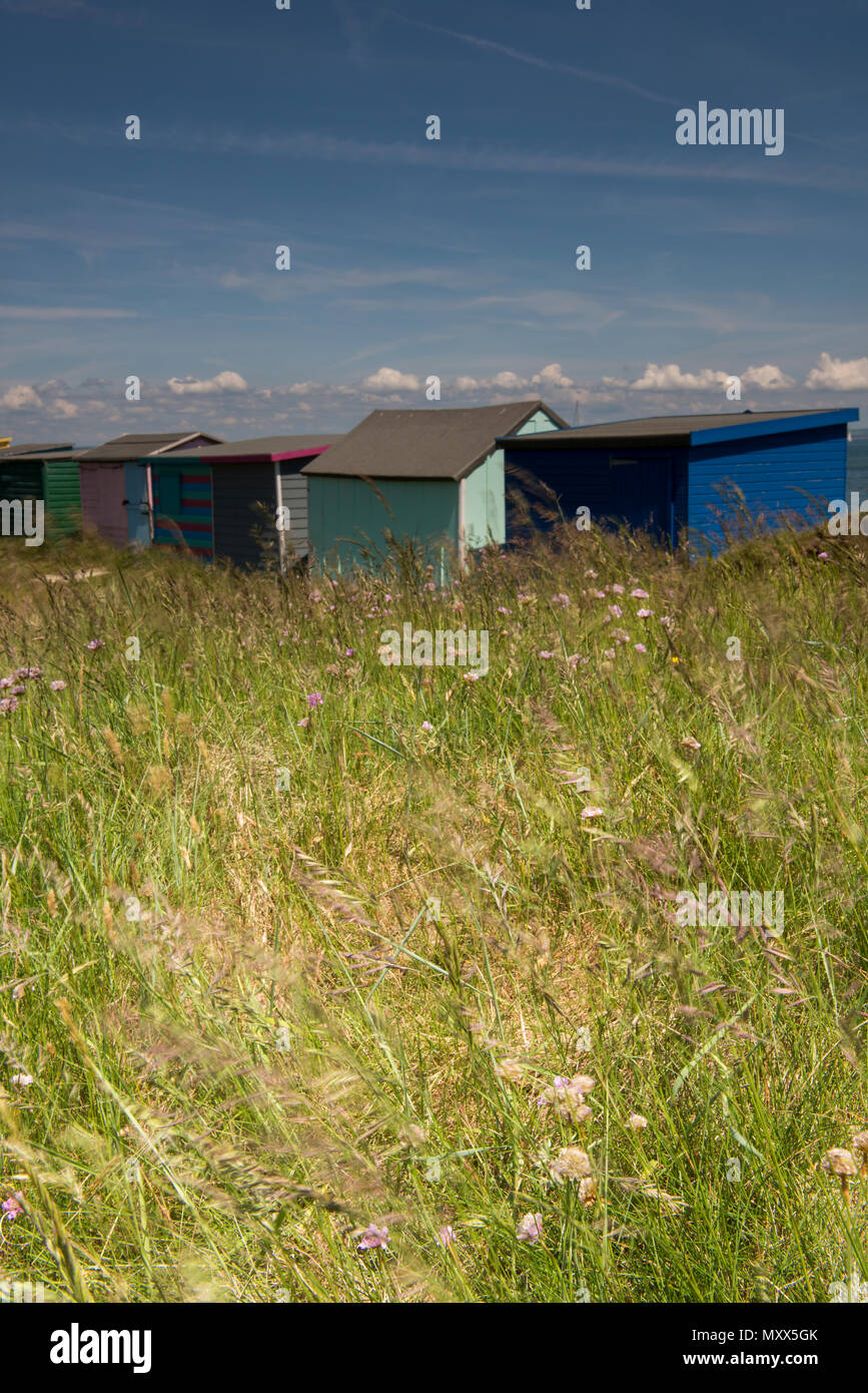 a row of colourful beach huts at the duver, st helens. isle of wight ...