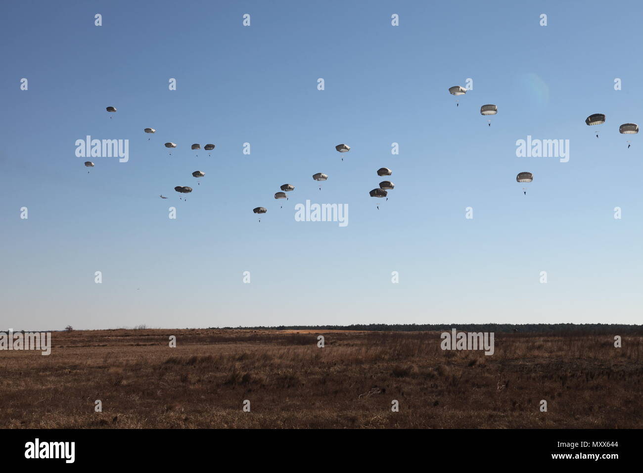 U.S. Army paratroopers fill the sky during an airborne operation for ...