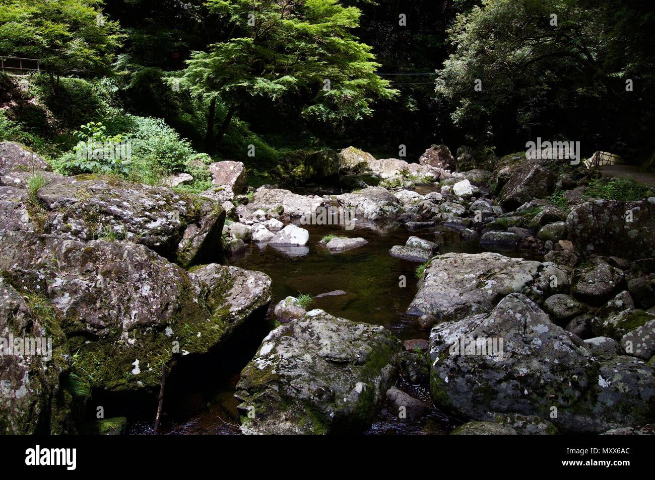 Akame 48 Waterfalls: Mysterious hiking trails, giant trees & moss ...