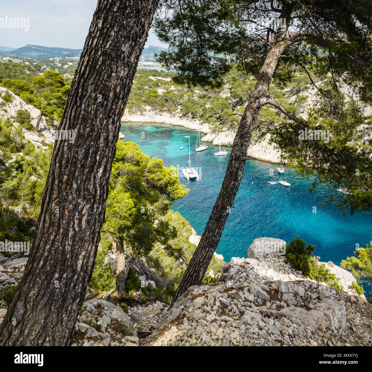 View of the calanque of Port Pin, a long and narrow natural creek, with ...