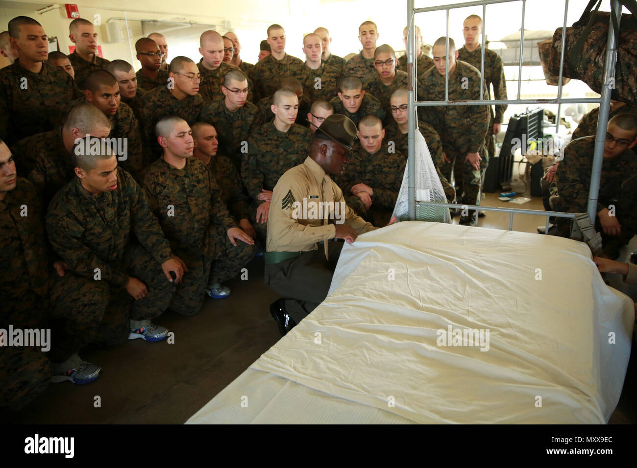 Drill instructors of Delta Company, 1st Recruit Training Battalion ...