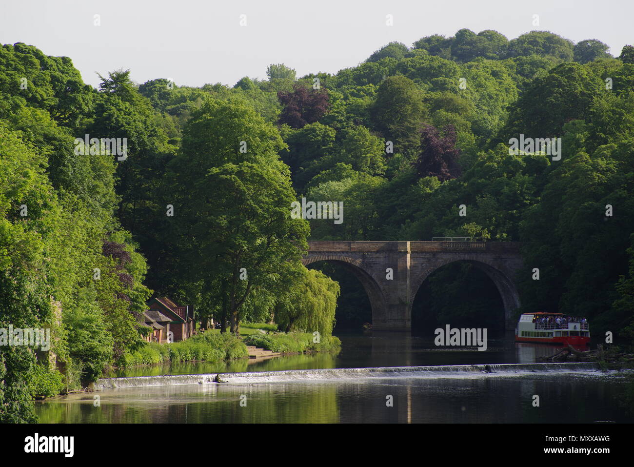 River cruise, River Wear, Durham, County Durham, Tyne and Wear Stock ...