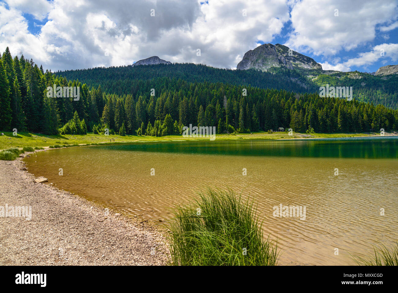 View of The Black Lake (Crno jezero) in Durmitor National Park ...