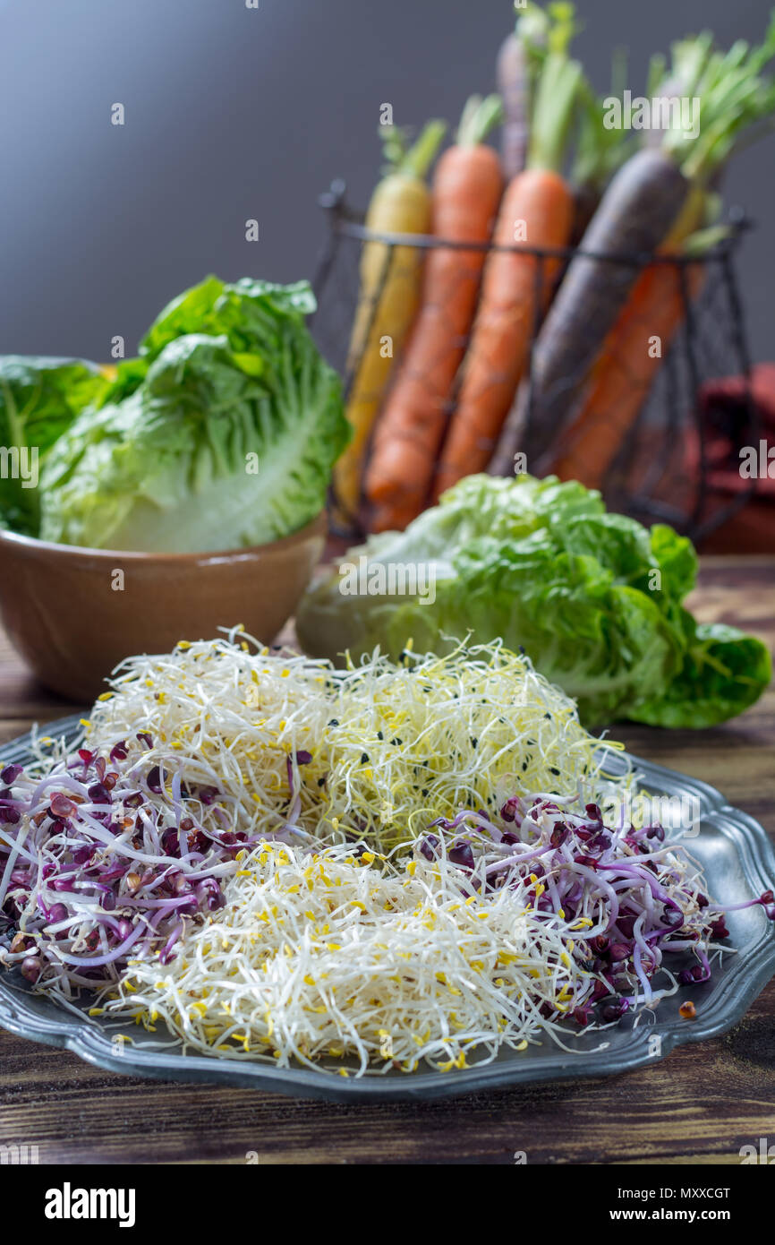 Raw fresh young organic sprouts of leek, alfalfa, red reddish mixed on ...