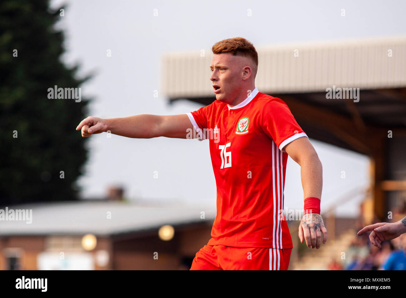 Jenner park stadium hi-res stock photography and images - Alamy