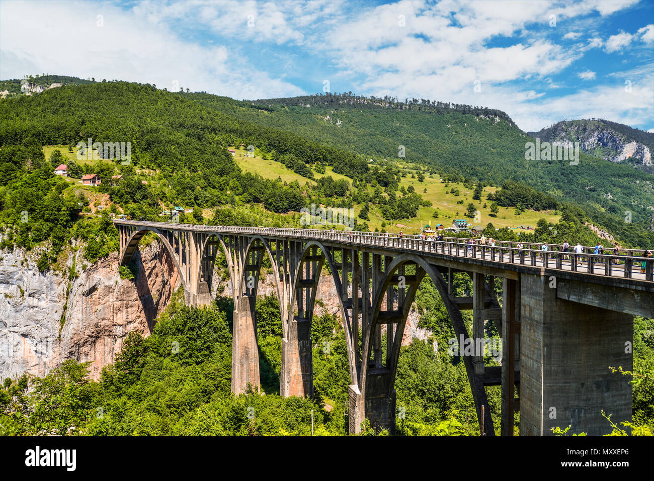 Mountain landscape, Montenegro. Durdevica Tara arc bridge in the ...