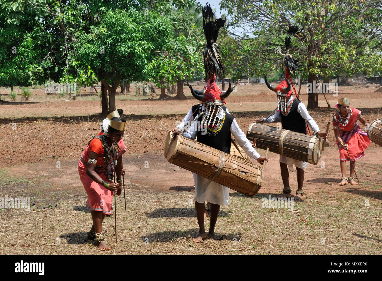 India, Orissa, Chhattisgarh, Muria area, Bison Horn tribe Stock Photo ...