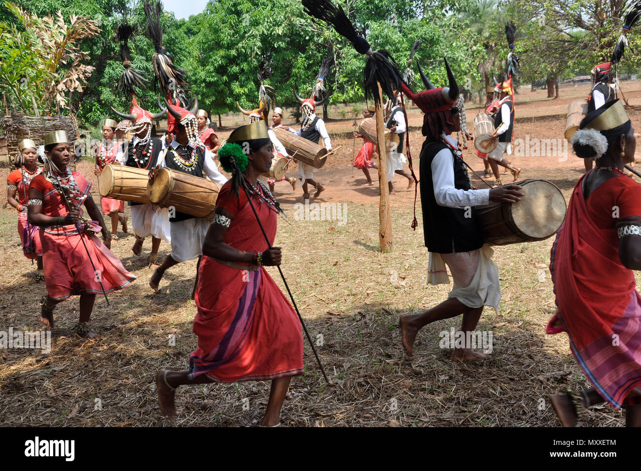 Bison horn tribe hi-res stock photography and images - Alamy