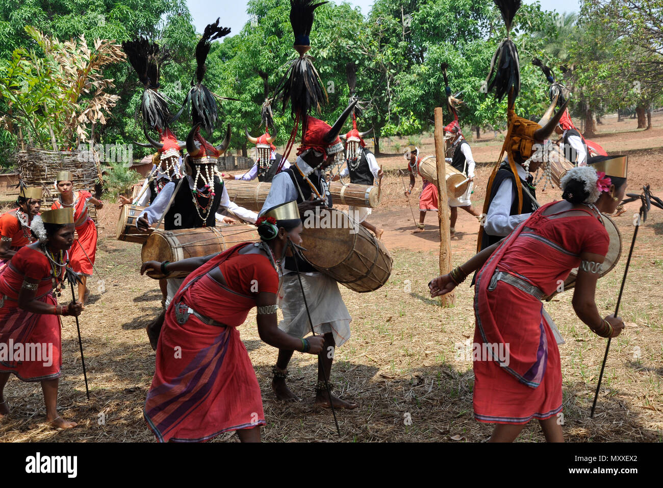 India, Orissa, Chhattisgarh, Muria area, Bison Horn tribe Stock Photo ...