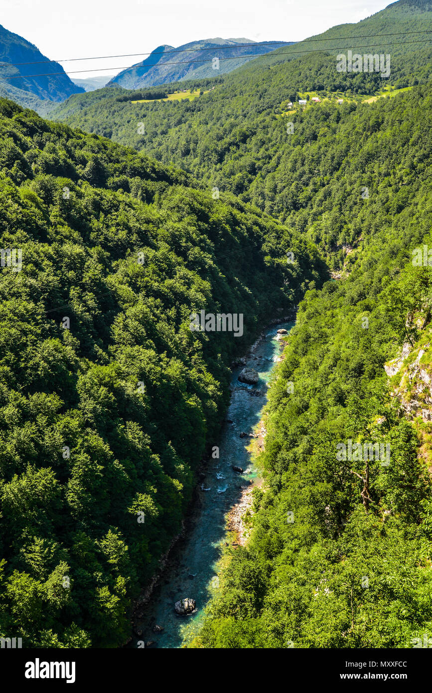 Mountain river Tara and forest in Montenegro. View from Durdevica arc ...
