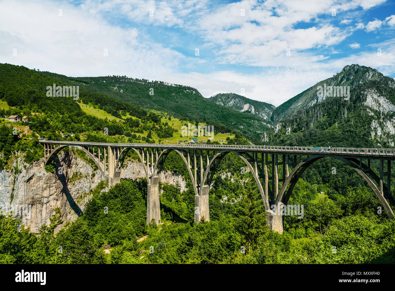 Mountain landscape, Montenegro. Durdevica Tara arc bridge in the ...