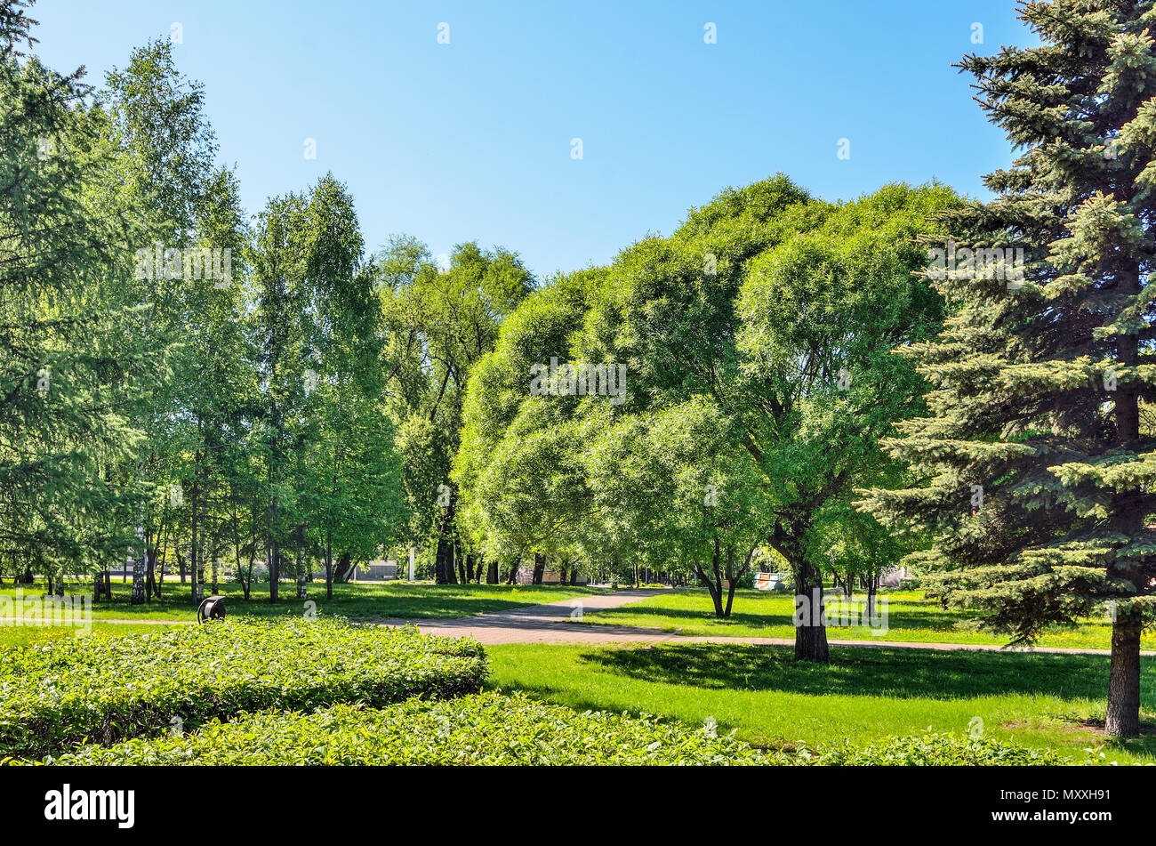 Spring landscape of city park. Green corner of a large industrial city ...