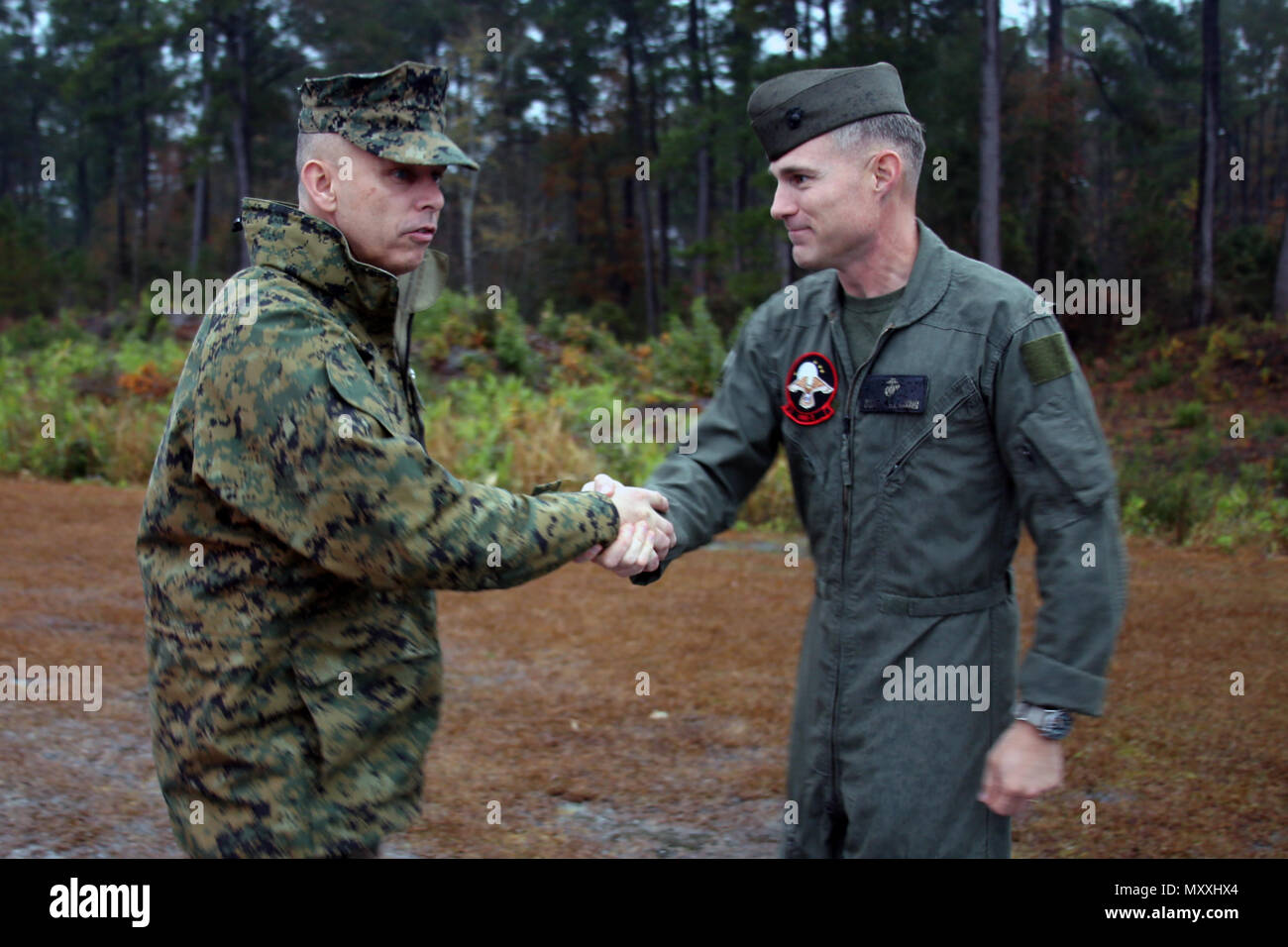 Brig. Gen. Matthew Glavy shakes hands with Lt. Col. Lawrence B. Green ...