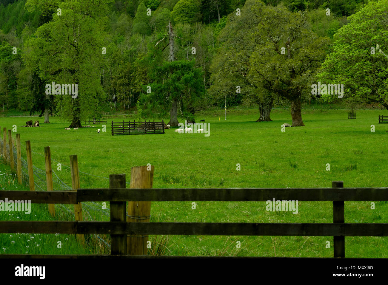 Countryside of britain hi-res stock photography and images - Alamy