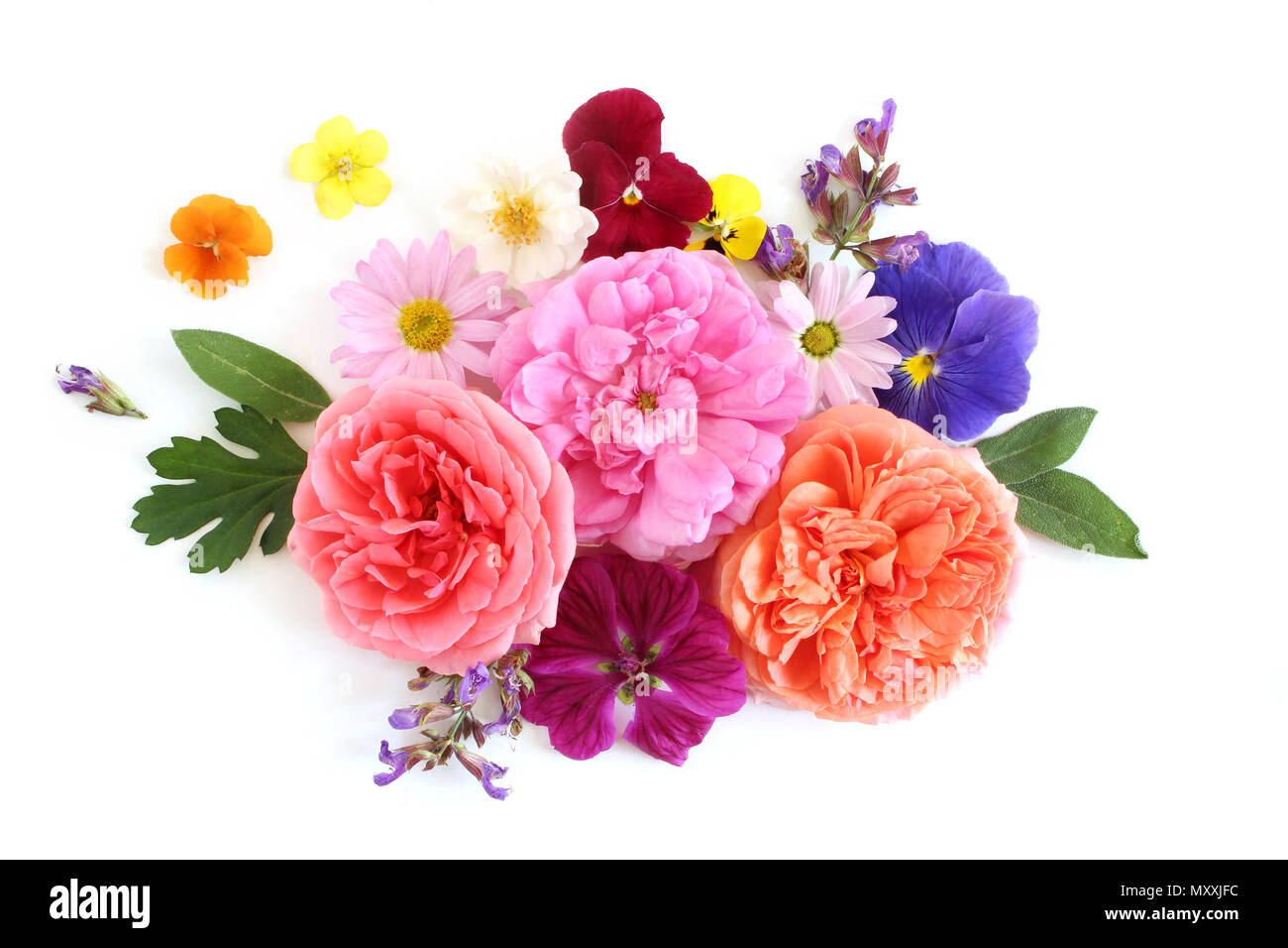 Garden flatlay Cut Out Stock Images & Pictures - Alamy