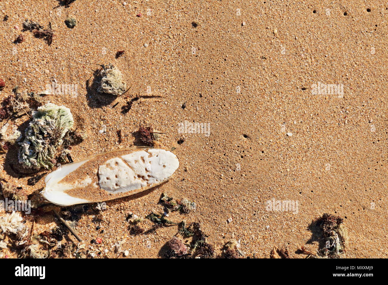 Mark wrack hi-res stock photography and images - Alamy