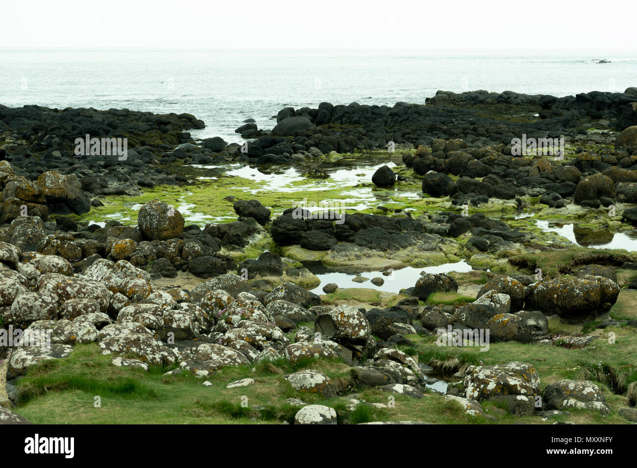 Northern Ireland landscape Stock Photo - Alamy