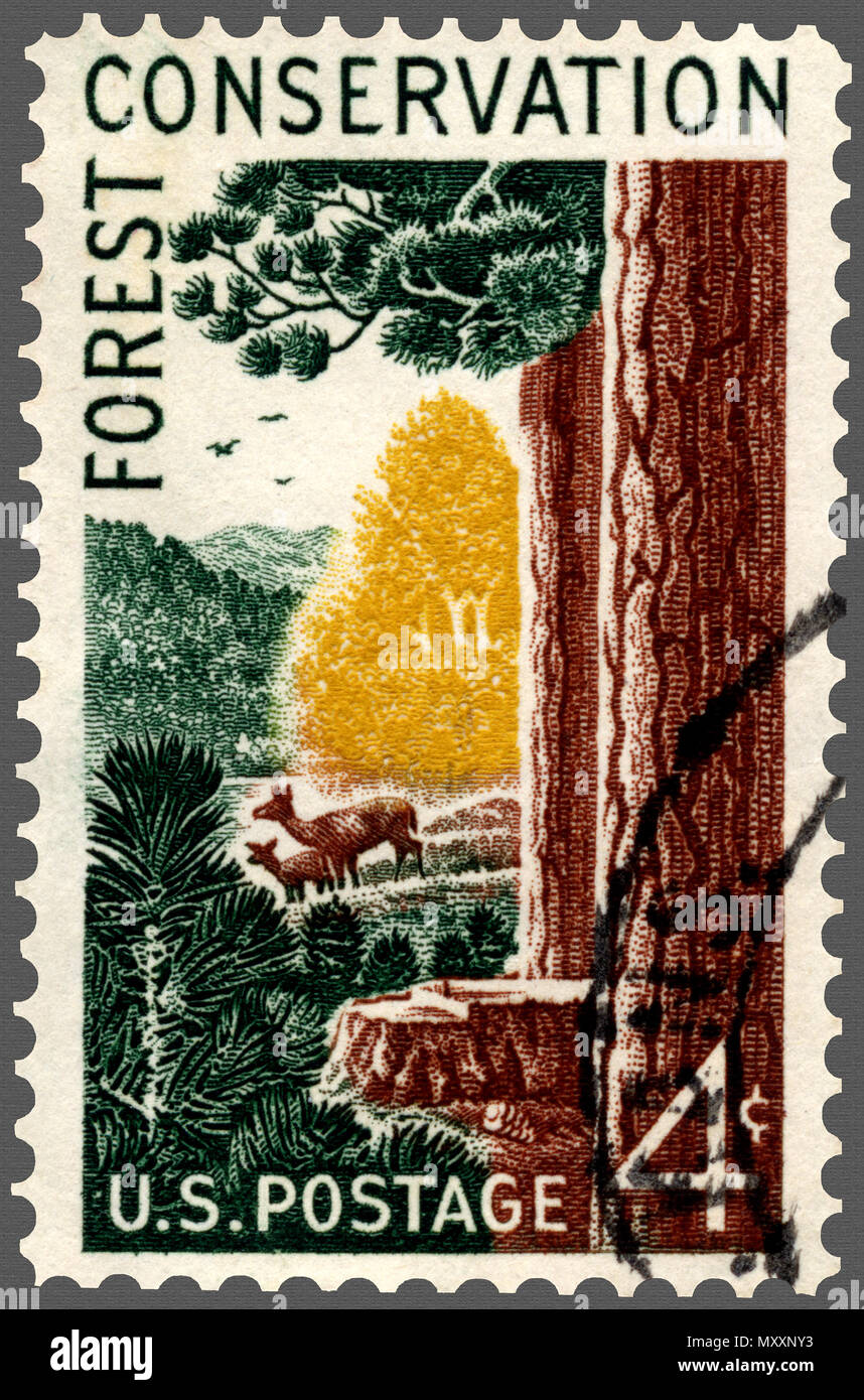 Forest Conservation Postage Stamp Stock Photo - Alamy