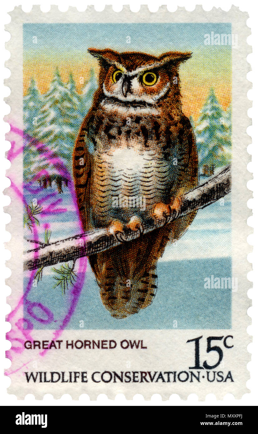 Great Horned Owl on postage stamp Stock Photo - Alamy