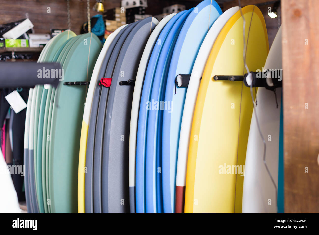 Image of colorful surfboard standing in the modern store for surfing ...