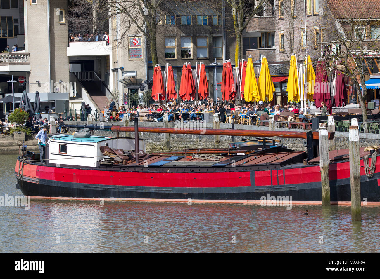 Downtown Rotterdam, Oudehaven, historic harbor, historic ships, beer ...