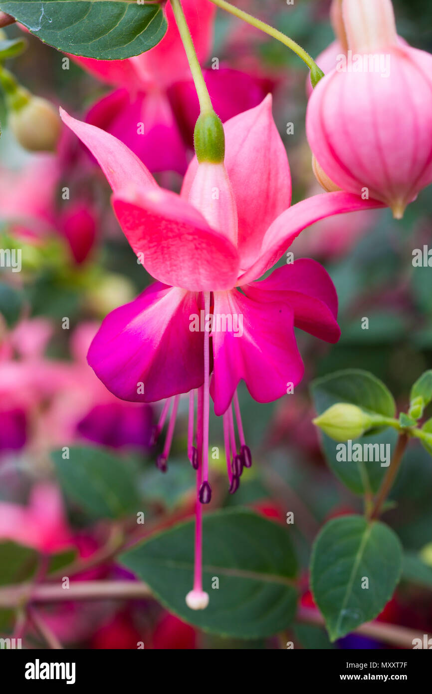 Спиральная защита