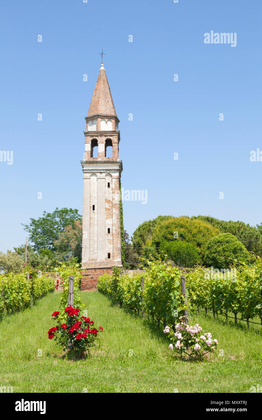 Veneto vineyards hi-res stock photography and images - Alamy