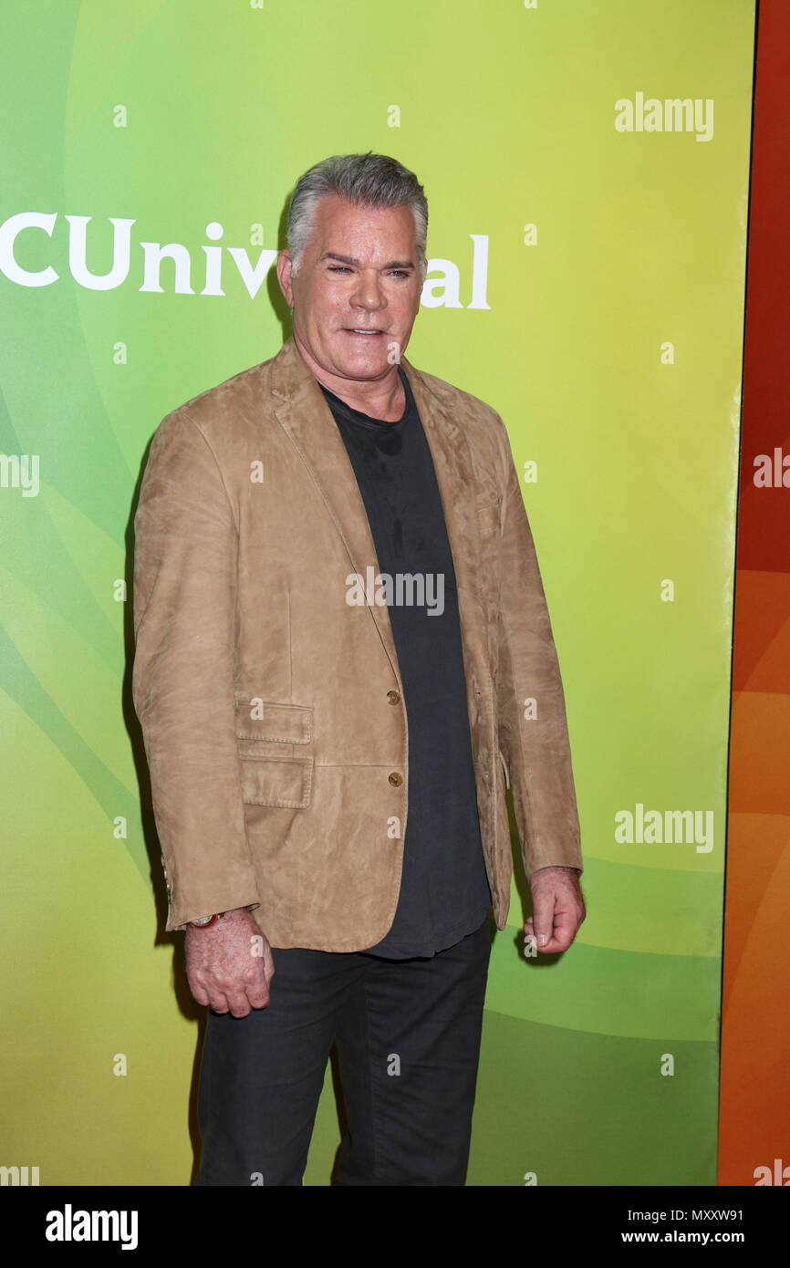 NBC Universal Summer Press day at Universal Studios Featuring: Ray ...