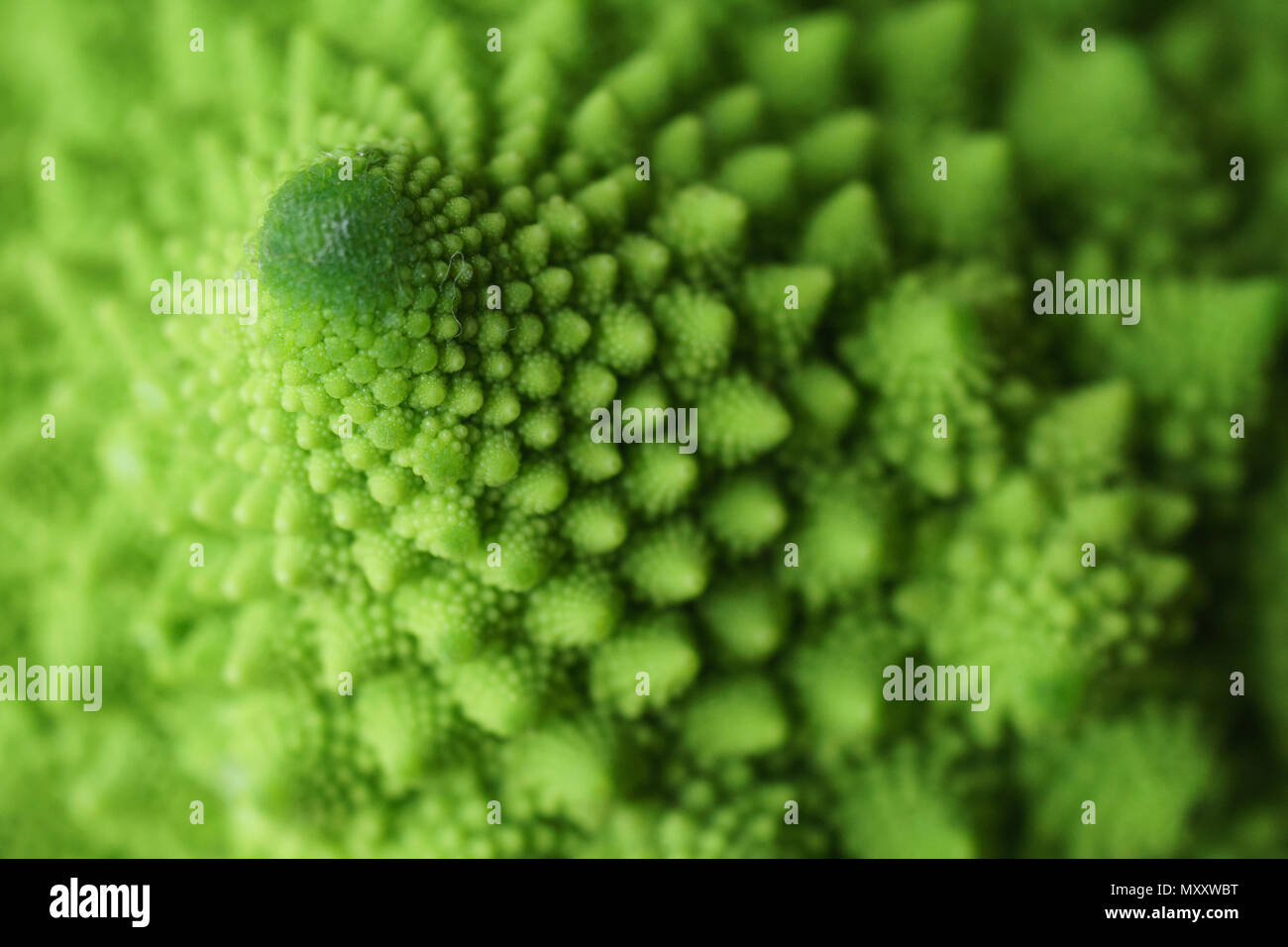 Broccoli texture hi-res stock photography and images - Alamy