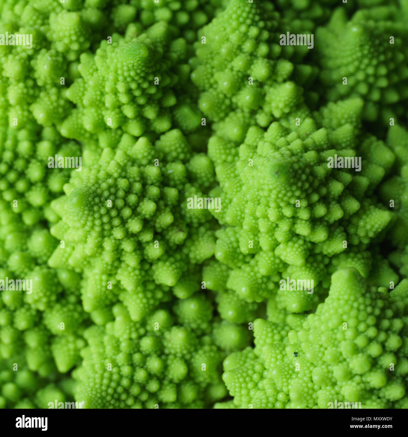Broccoli texture hi-res stock photography and images - Alamy